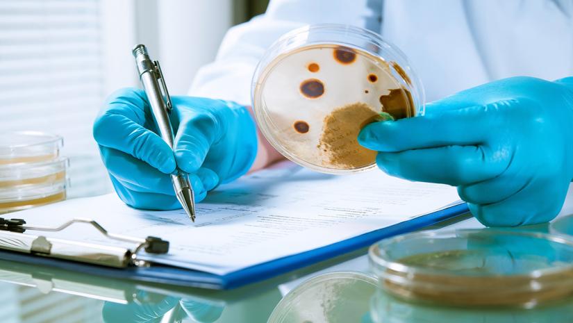 Food Scientists Have Developed A Listeria Mapping Tool